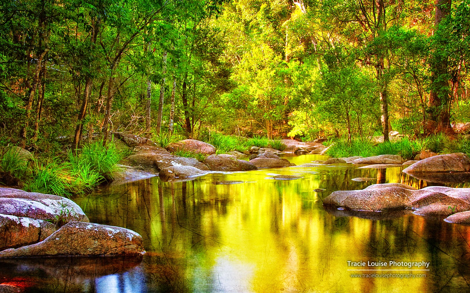 The Best Place For Amazing Windows Themes: Beautiful Queensland theme ...