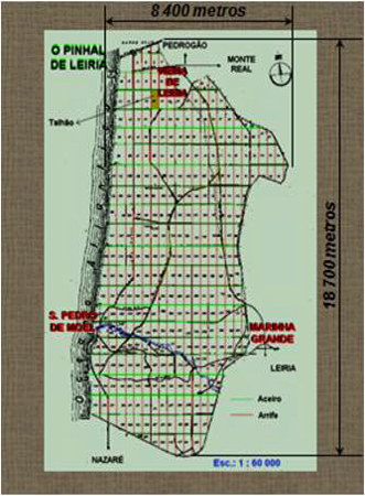 As dimensões do Pinhal do Rei