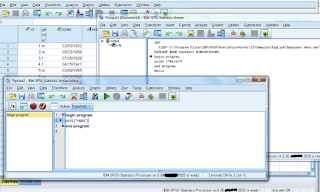 Download IBM SPSS Statistics 25 Terbaru - Enun Solutions