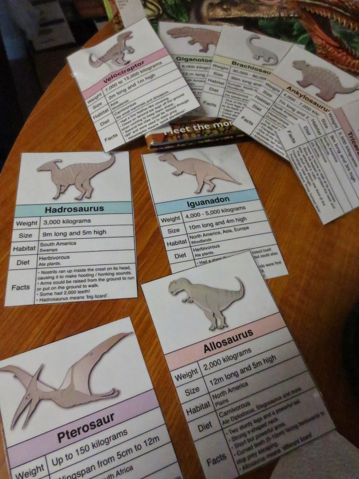 Science Blog : Dinosaur Investigation Box