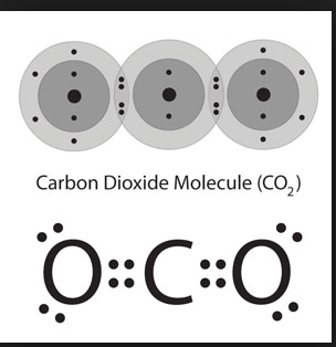 Z21 - The DNA, Genetics, and Biochemistry social expression system ...