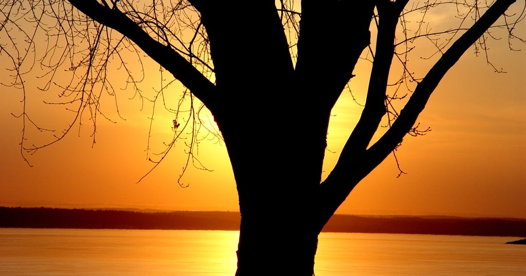 Zetesis - ζήτησις: In Praise of Moses