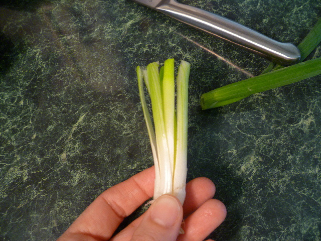 Ms. enPlace's How to...