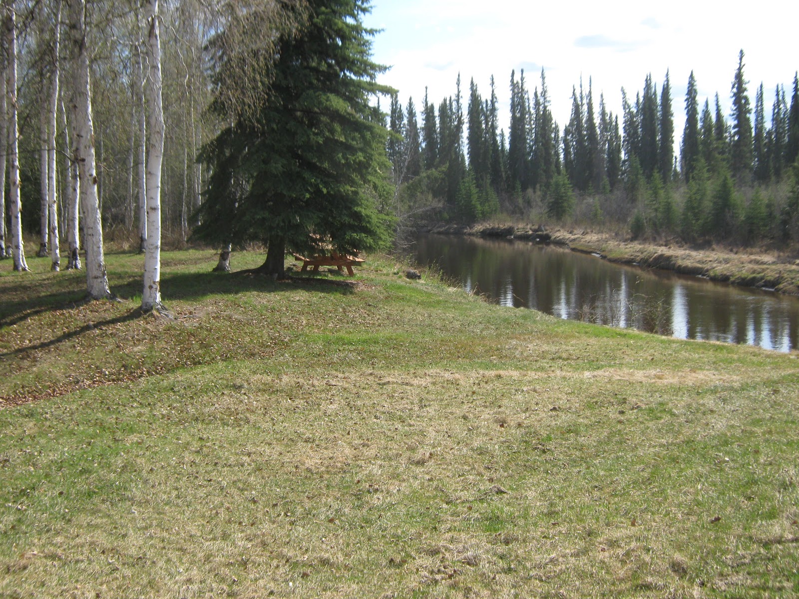 Chef Gurl's Central Alaska Adventure: Crooked Creek