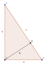 Formule del Triangolo Rettagolo • Scuolissima.com