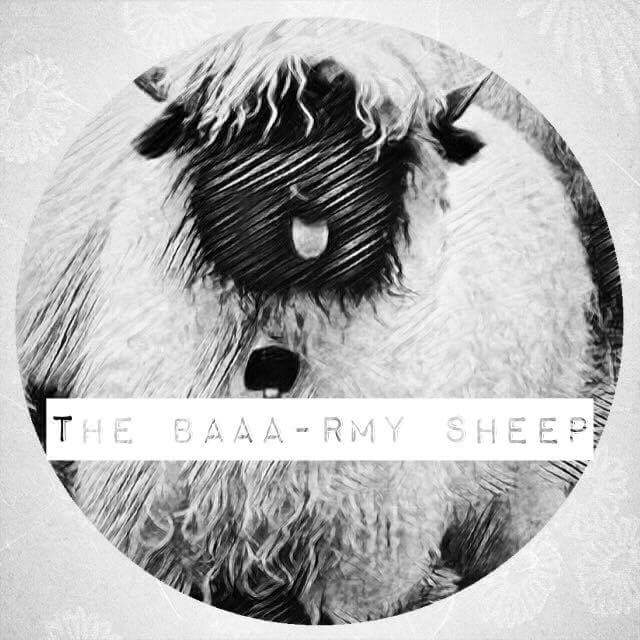 The Baaa-rmy Sheep