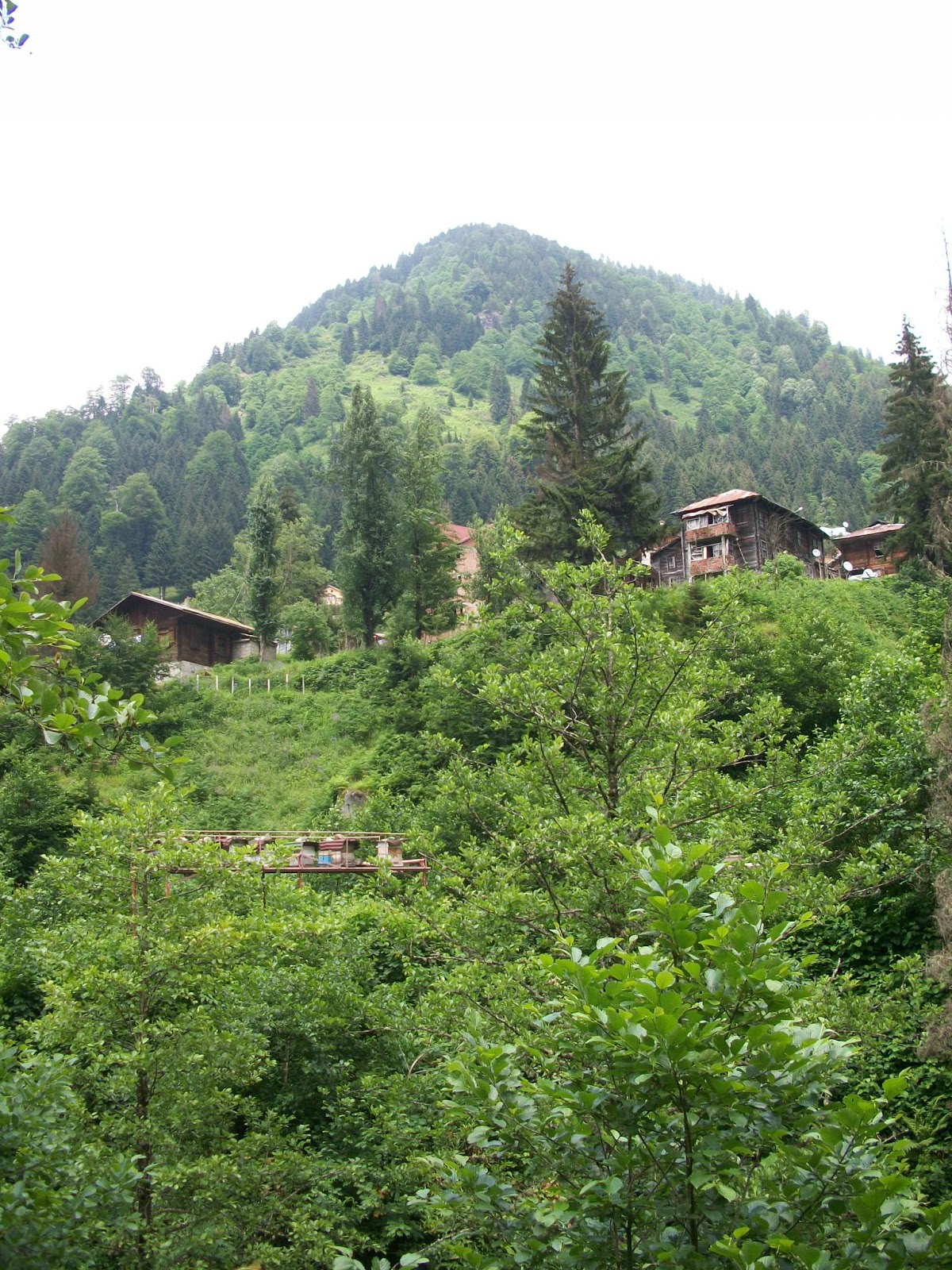 Kerim Yollarda: DOĞU KARADENİZ GEZİSİ - RİZE YAYLALARI (AYDER VE YUKARI ...