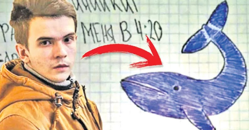What is the Blue Whale Challenge? History of blue whale Game ...
