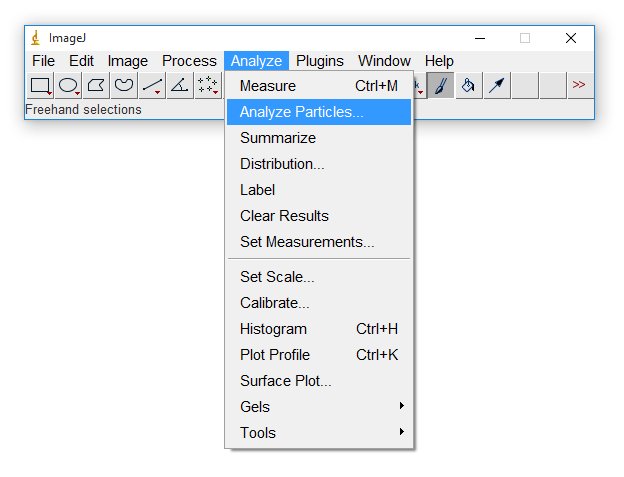 My imageJ: Analyze Particles สำหรับการวิเคราะห์ภาพเชิงพื้นที่