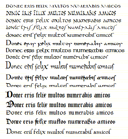 Calligraphy Alphabet : Latin Alphabet