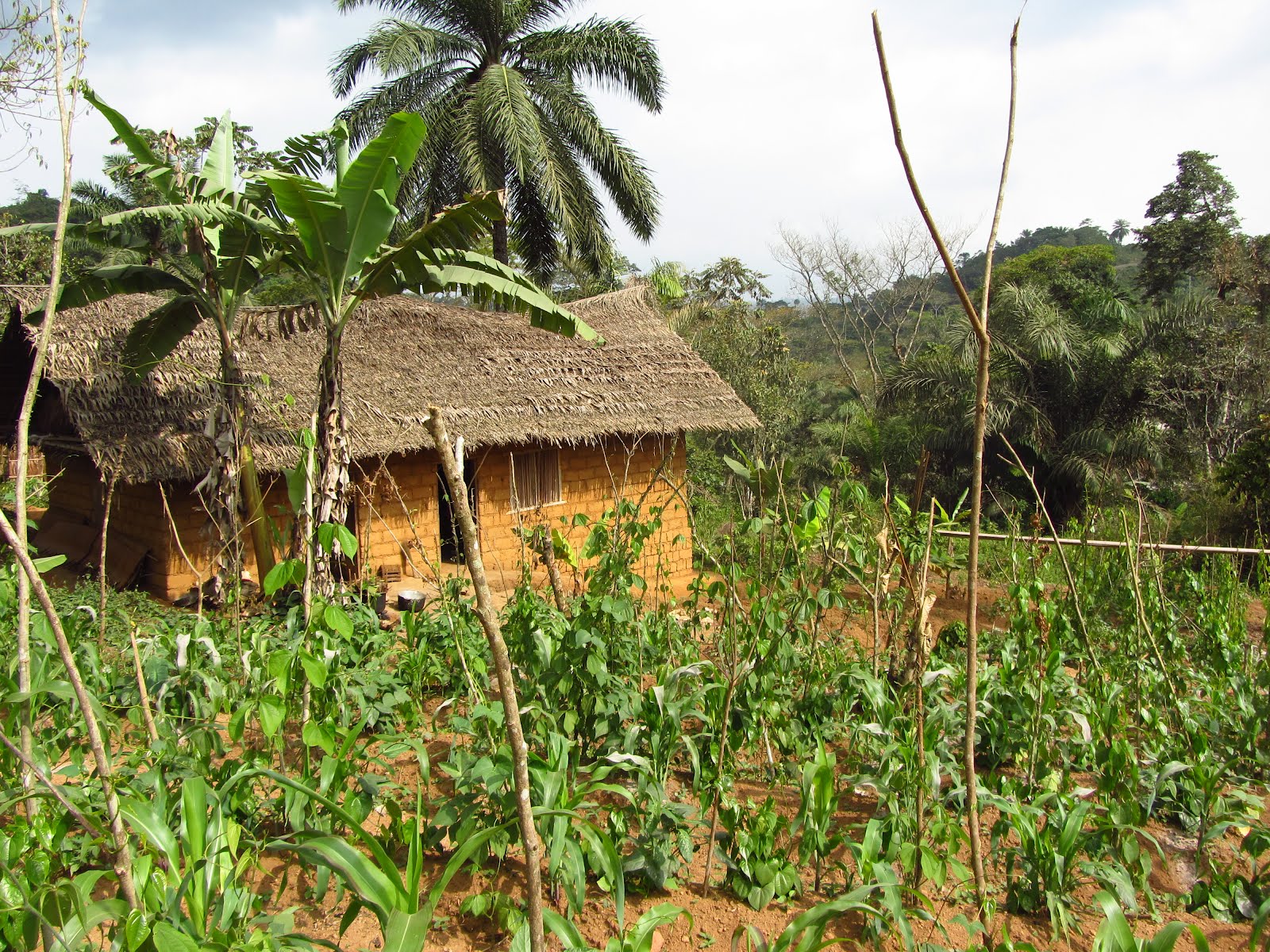 C'est La Vie Travel & Photography: The Smallest Peace Corps Post ...