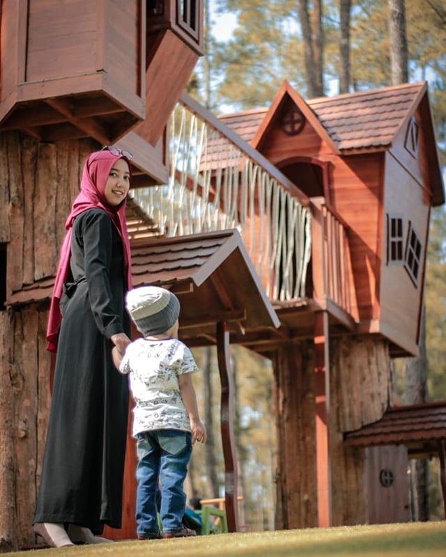 Kemit forest wisata yang sedang hits di Cilacap - Tugas Minggu