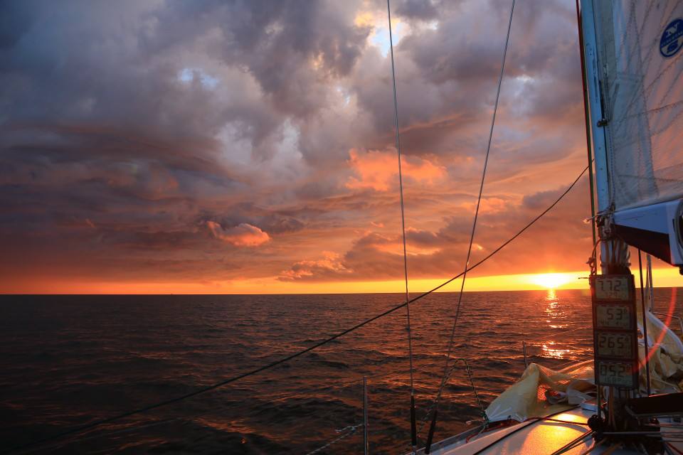 Öresund regatta: ÅF Offshore Race 2013 - Team Kracer på plats