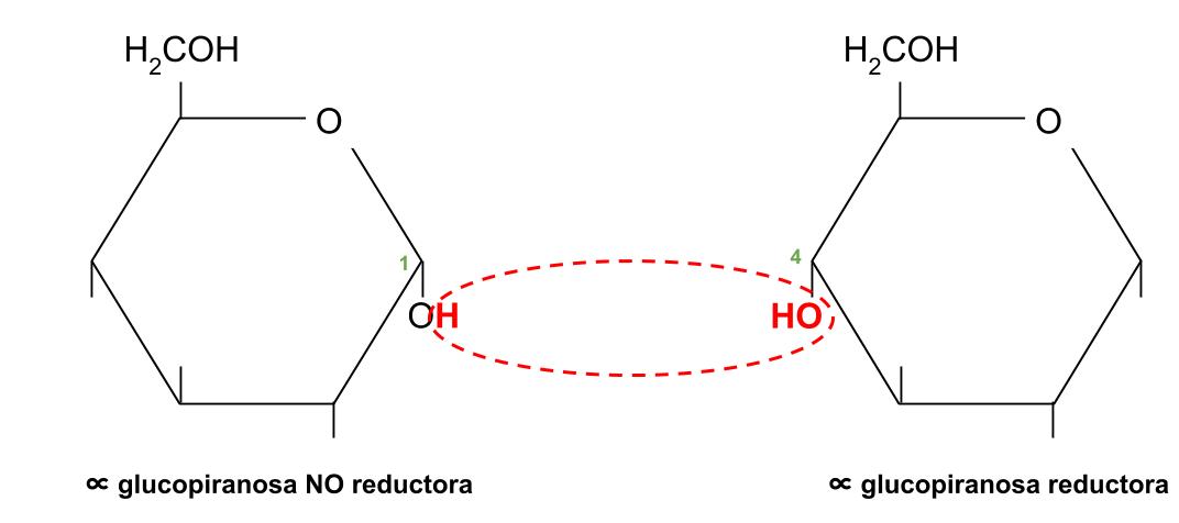 Química Sexto: Maltosa o azúcar de malta