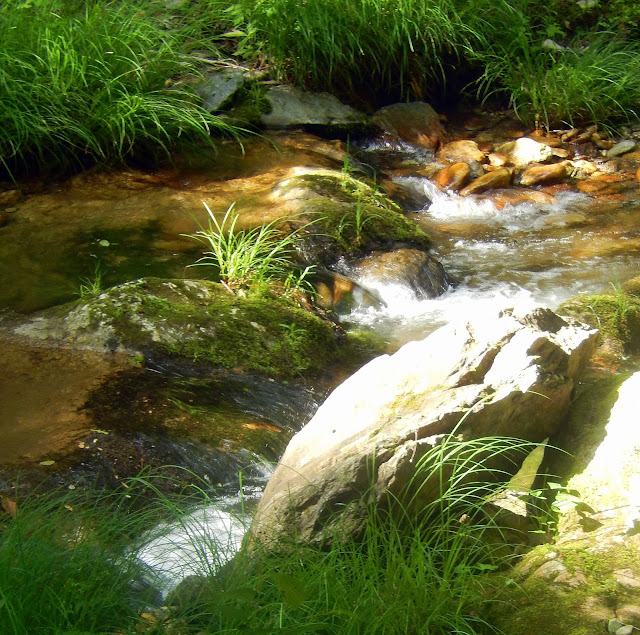 Hiking with a Fat Bald White Guy: Wilson Creek - Gragg Prong Falls
