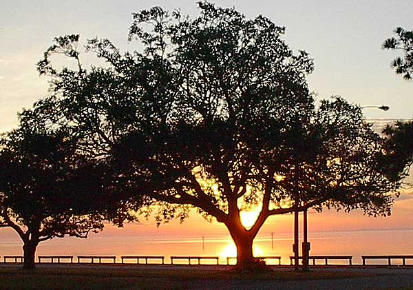 The Views are Always Magnificent Here in Oriental – River Neuse Suites