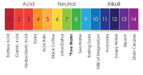 CLASSIFICATION OF FOODS ACCORDING TO pH - notesfreedownload