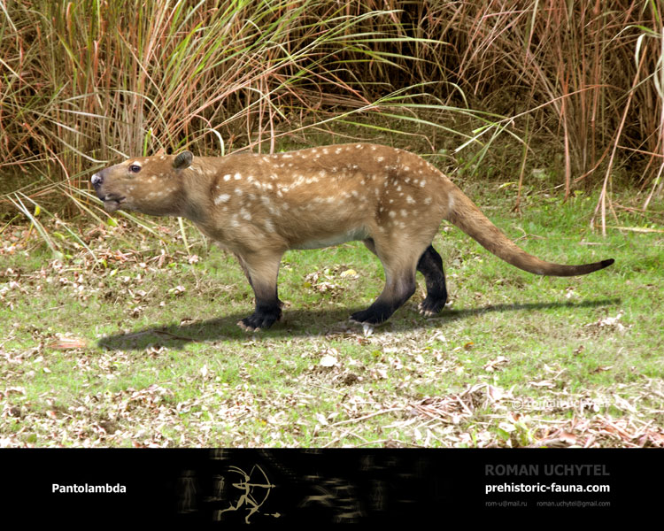 Escenarios prehistóricos: 12/01/11