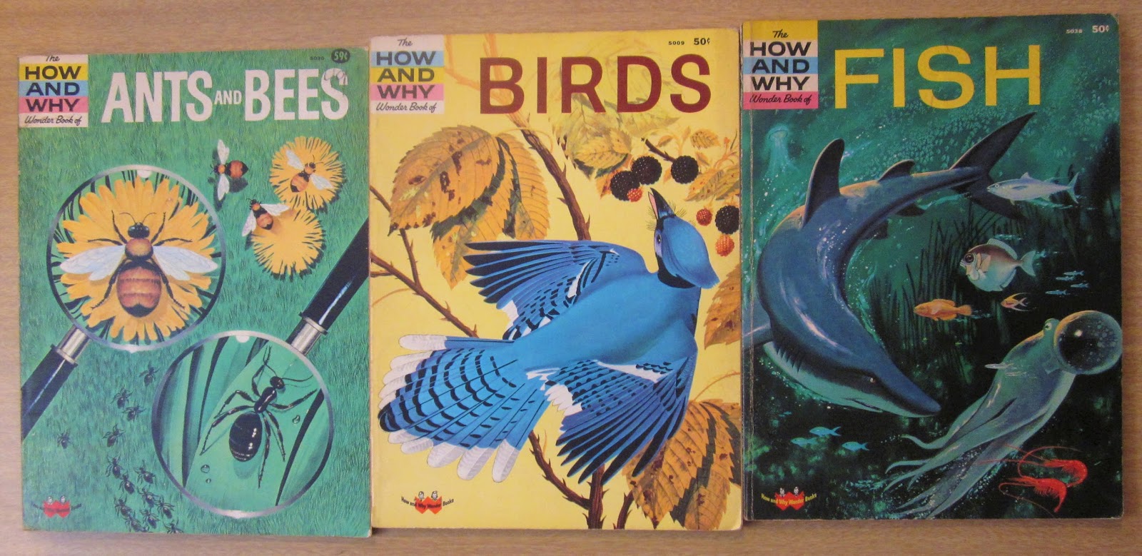 Our Adventures Amongst The Ducks: Five For Five