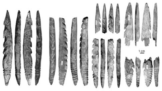 For what they were... we are: The Katanda harpoons