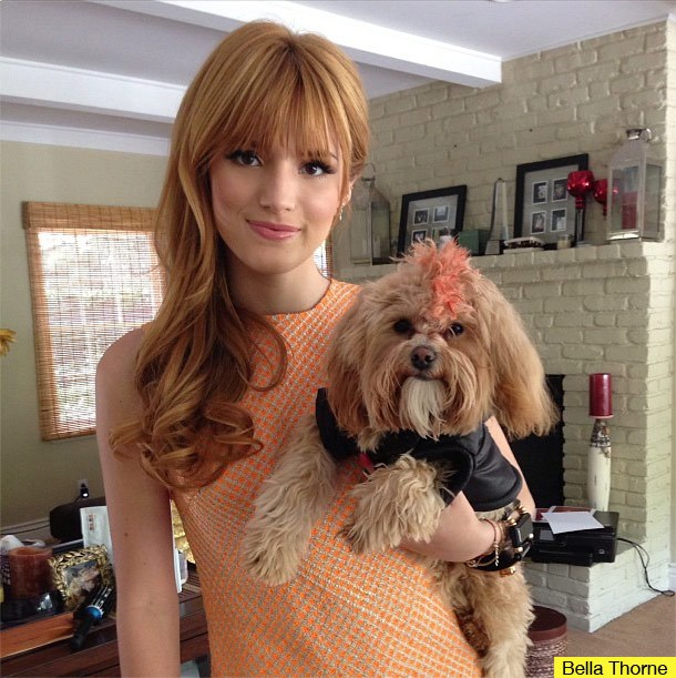 BellaThorne FanBlog de Salma