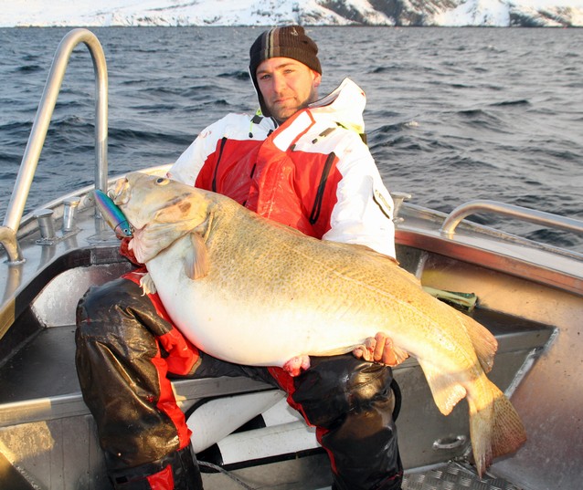 Big Fishes of the World: COD ATLANTIC (Gadus morhua)