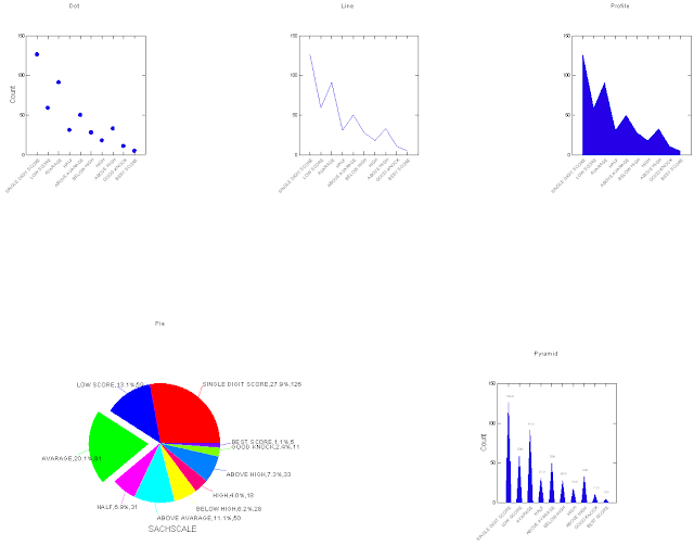 Cricket Data Analysis: January 2013