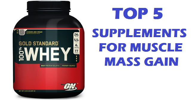 Muscle Palace: Top 5 Supplements for Muscle Mass Gain