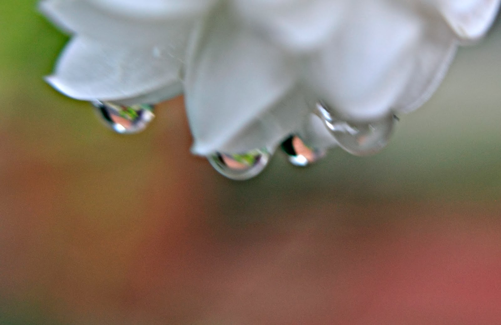 top of the maintain: rain drops, abstracts of objects