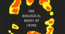 The Neverending Stories: "The Anatomy of Violence" by Adrian Raine (2013)