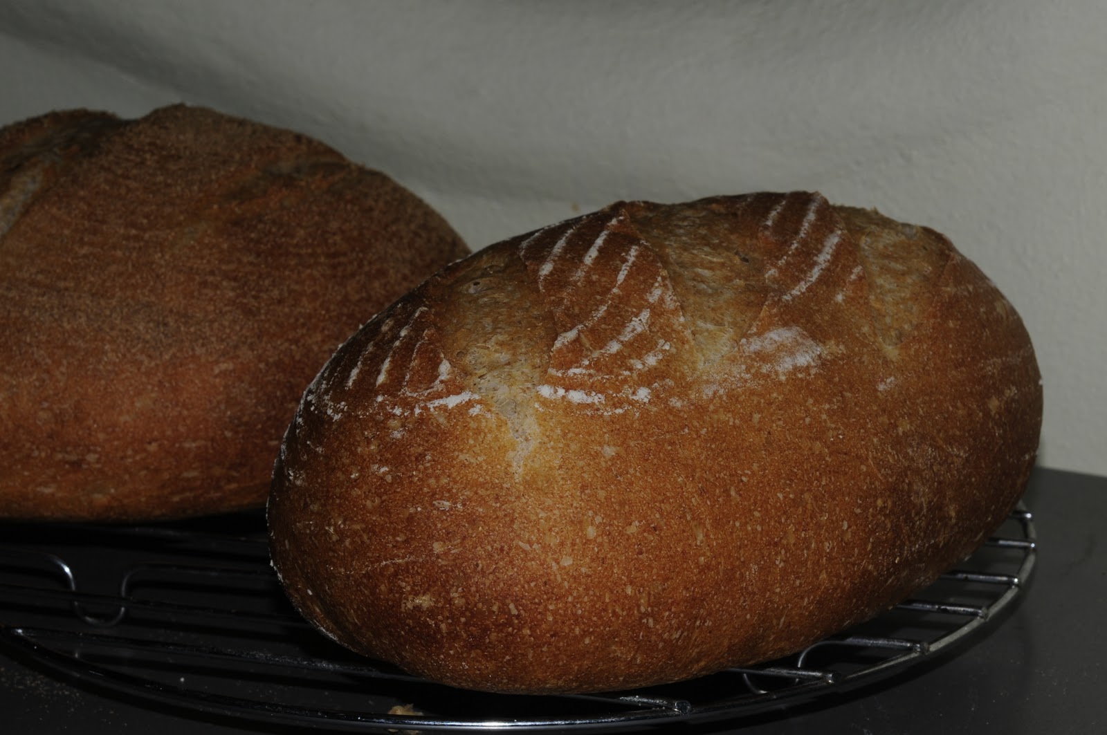 my discovery of Bread: French countryside bread with poolish