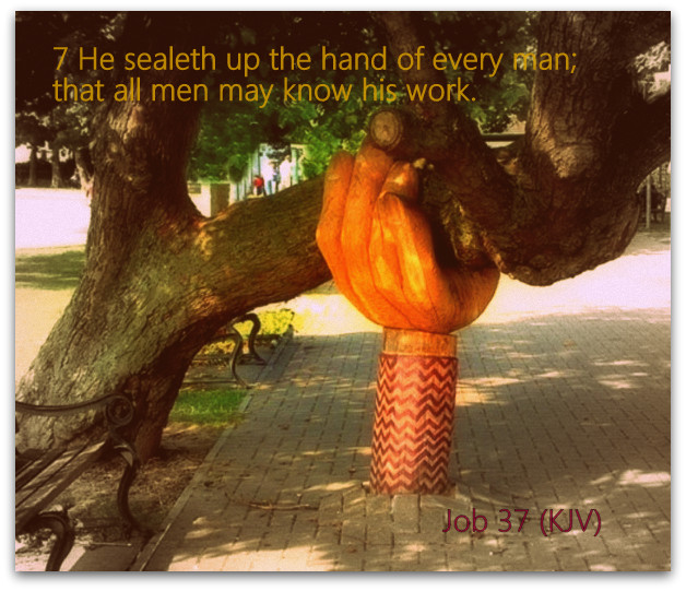 Red Pill Diaries: Job 37 (KJV)