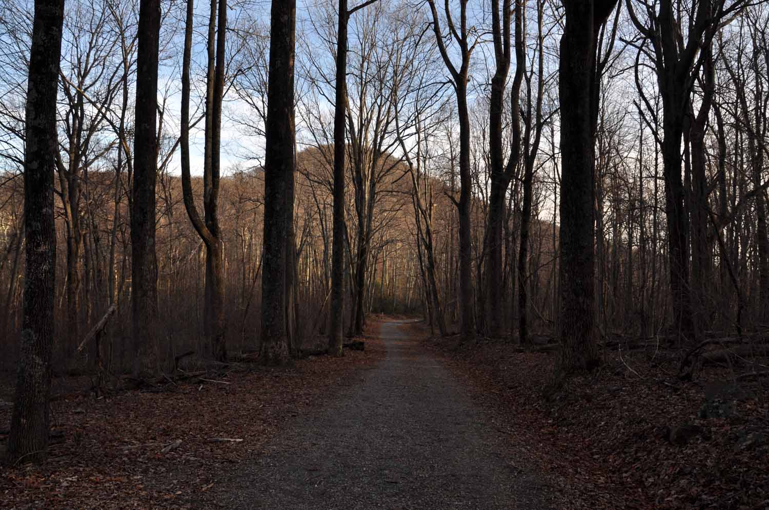 Corbin Mountain and Robertson Mountain: A Sunset Hike