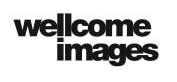Wellcome Images