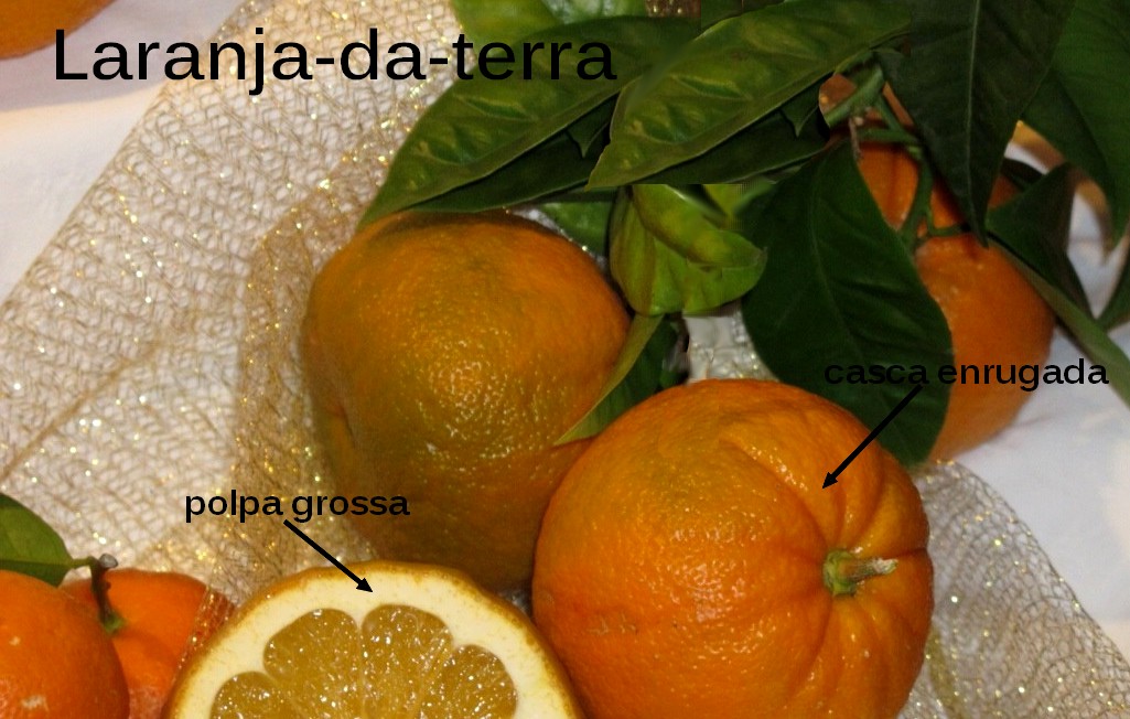 Na Cozinha da Margô: Doce Mineiro de Laranja da Terra (laranja amarga)