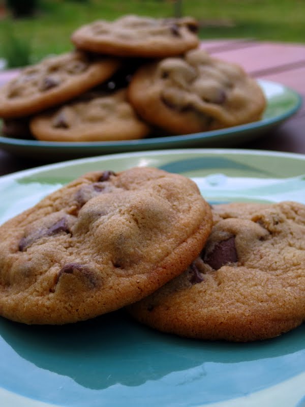 Alissamay's: Chocolate Malted Cookies