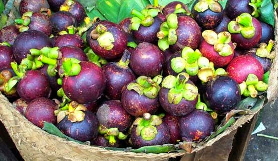 It's More Fun in Davao City: The Best Fruits in Davao City