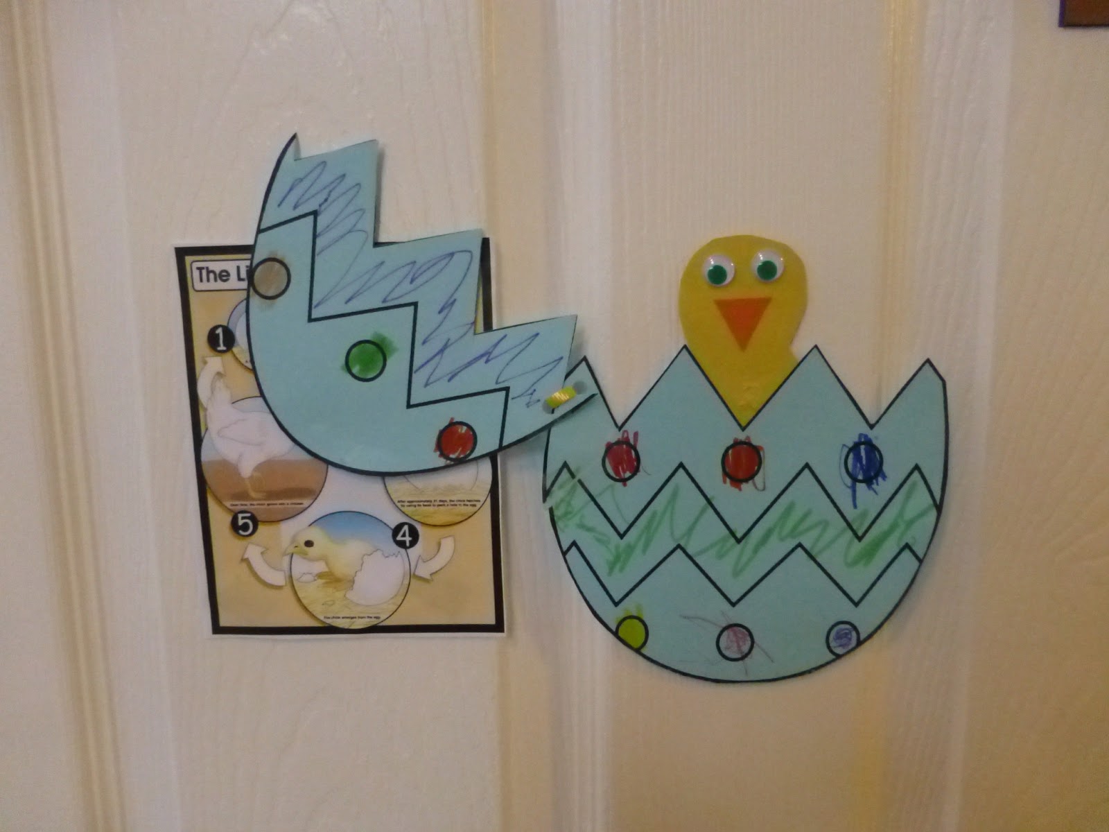 Halfway Homeschooling: Spring Craft - Life Cycle of the Chicken ...