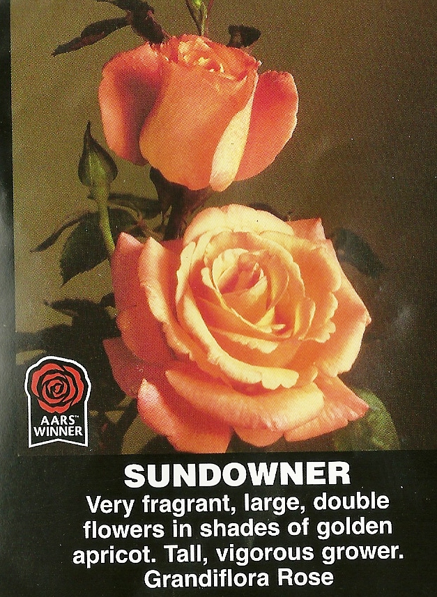 Hollyhock Hill Estate: A Beautiful Surprise