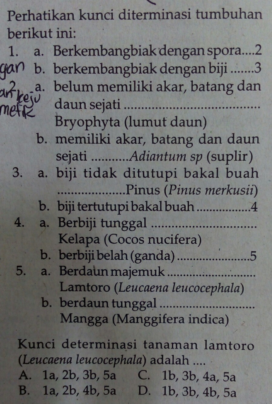 kunci determinasi tumbuhan - wood scribd indo