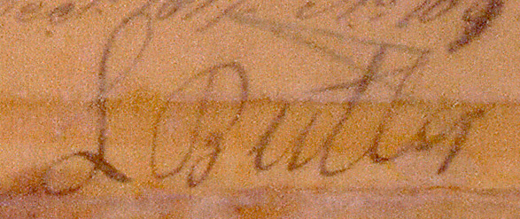 Laurence Butler- the life of a 1798 Irish Rebel: Introduction