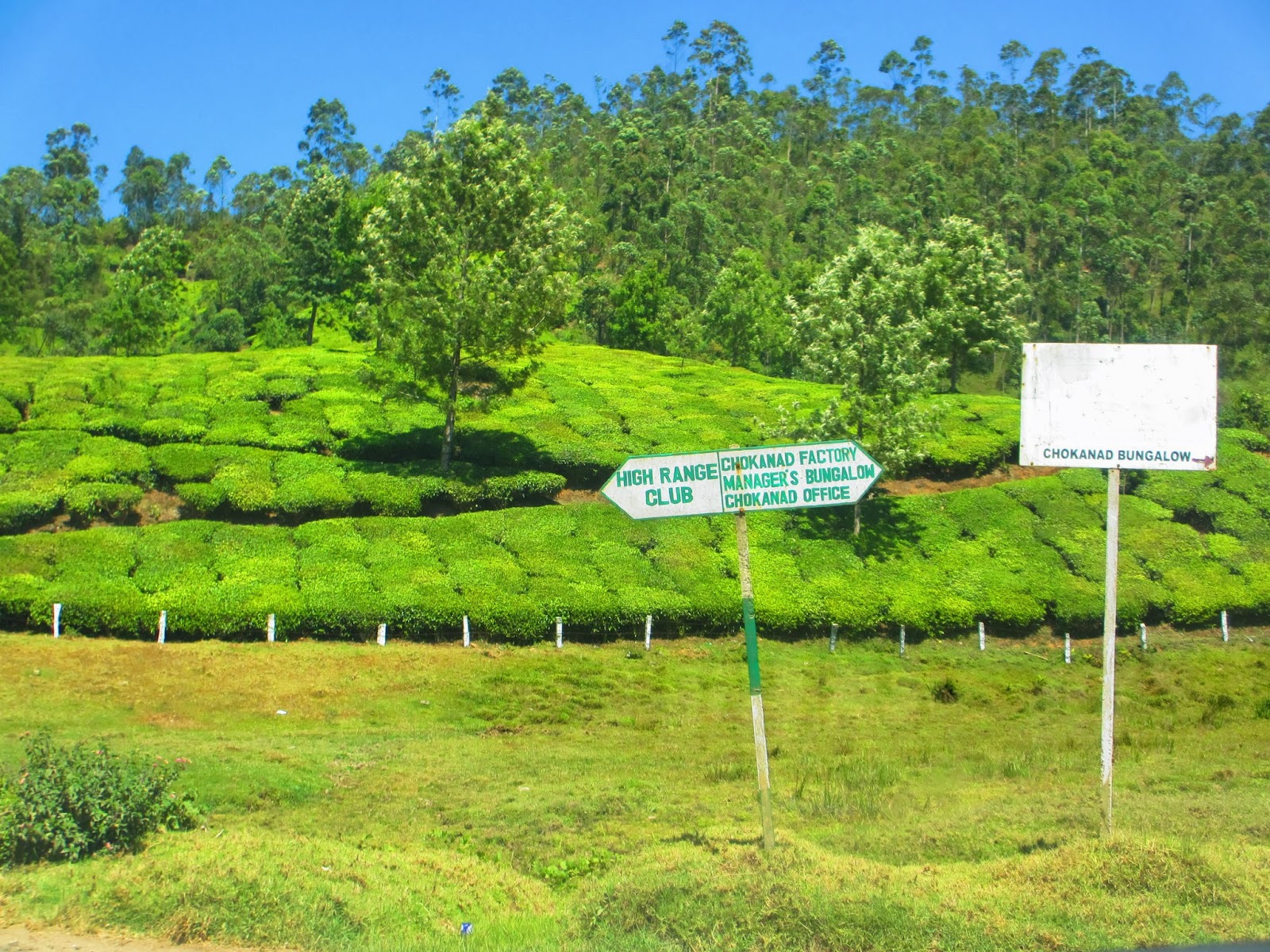 A Lost World - Hidden colonial clubs of India: A Visit to the High ...