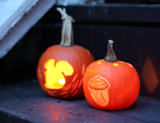 Squirrel Pumpkin Stencil