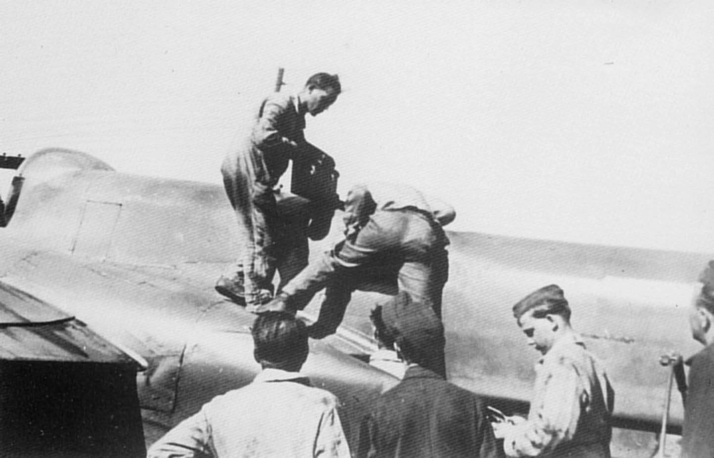 Luftwaffe Lovers: Multirole aircraft - Arado Ar240