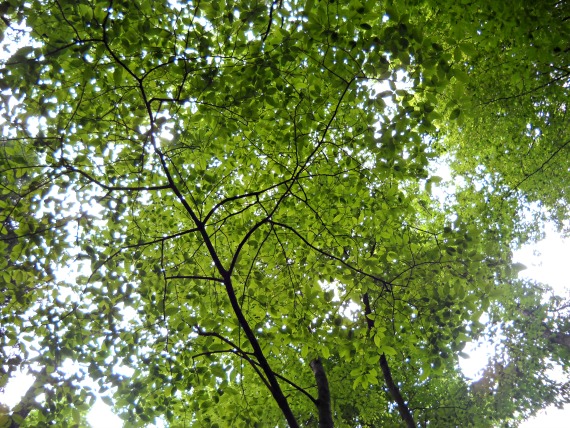 Curlicue Creations: One More Barn Block