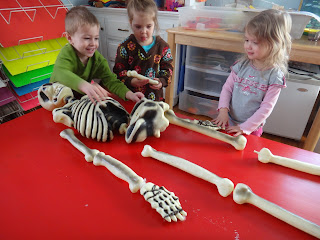 Little Stars Learning: Our Body - Week 1 Body Parts - Day 1 Skeleton