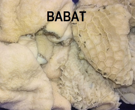 Anim Agro Technology: BABAT