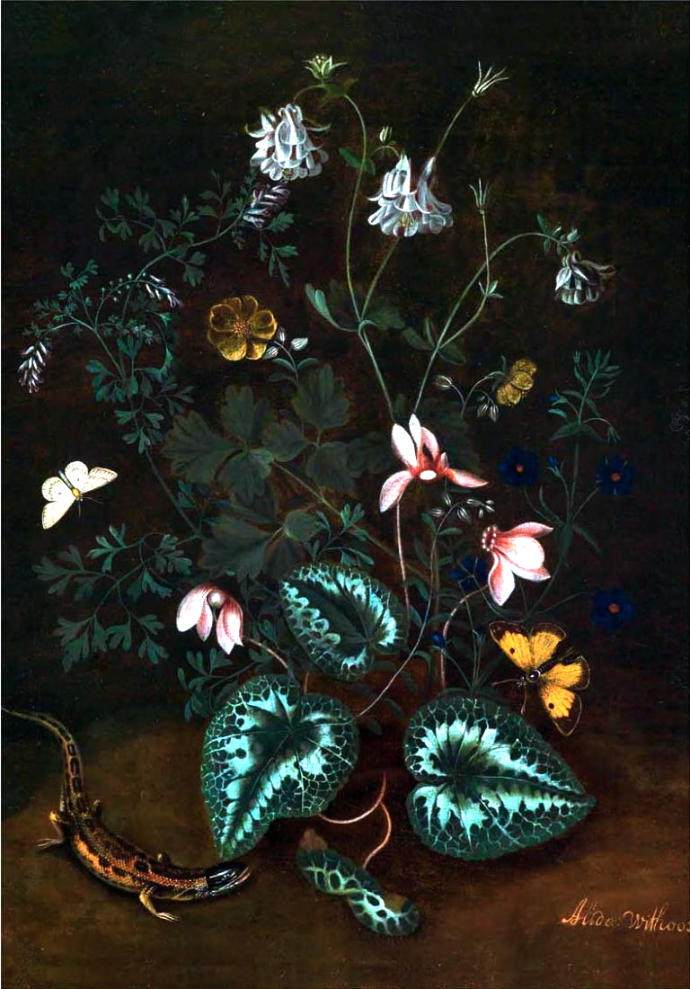 The Painted Prism: WOMEN ARTISTS: Alida Withoos