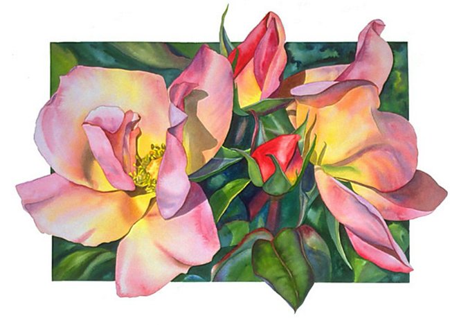 Коллекция картинок: Sally Robertson, акварель