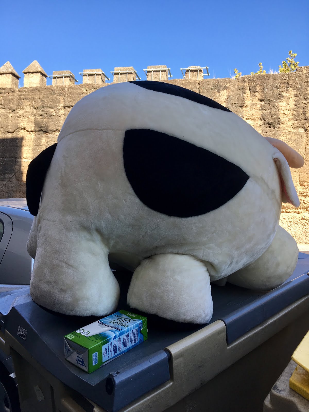 Vaca sin lactosa y muralla con brackets